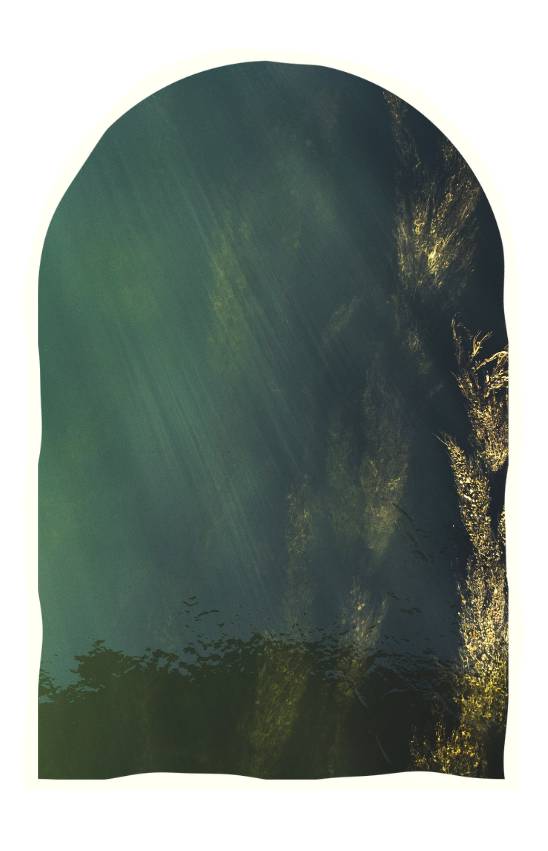 5 MINS OF BREATHING TO UNWIND & RECENTER – Sisuu.life